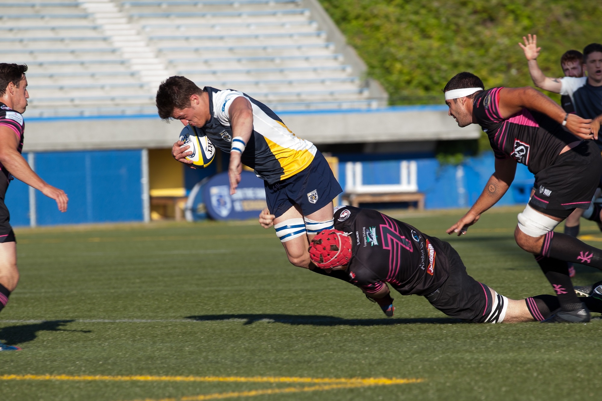 BC Rugby partners with HeadCheck Health to advance current concussion ...