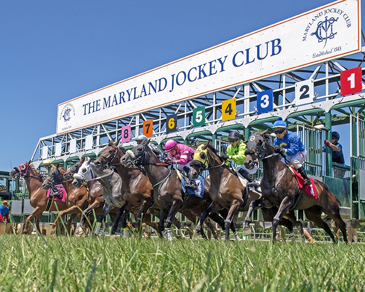 New System to Revolutionize Jockey Concussion Safety and Medical Care ...